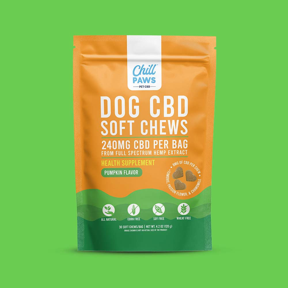 240 MG CBD SOFT CHEWS PUMPKIN FLAVOR – Chill Paws - WHOLESALE
